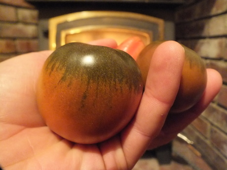 Natural living, food forest gardening in New Zealand | Blockhill