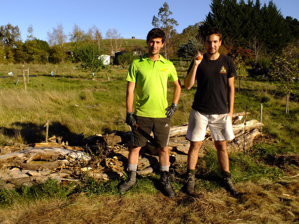 Raised woody swale / hugelkultur construction (Photograph) - Natural ...